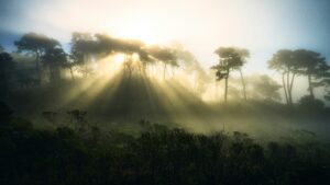 Was feiern Christen an Pfingsten? Alle Hintergründe zum Feiertag